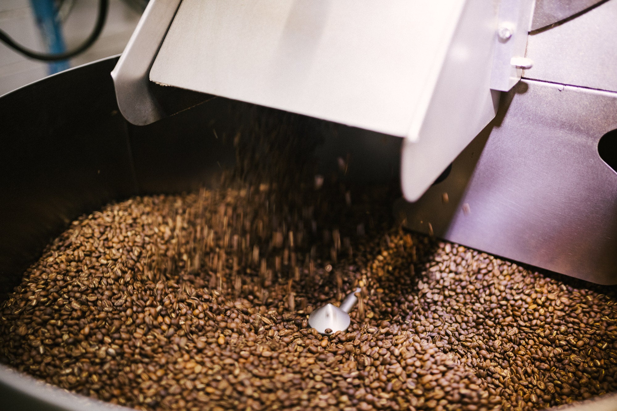 Paloma Craft Coffee delivered to your door